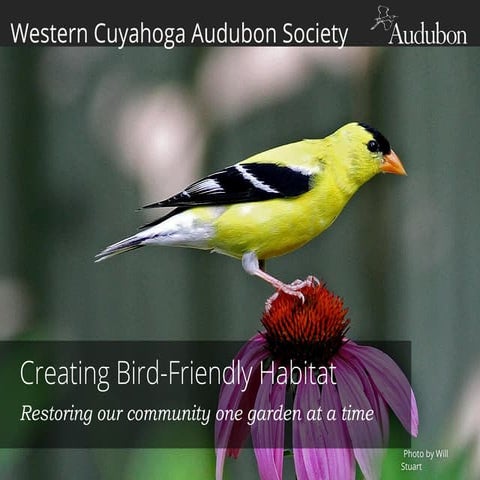 Bird-friendly Habitat Presentation v2 compiled by Lisa Del Rio, WCAS Bird Friendly Plant Project ...
