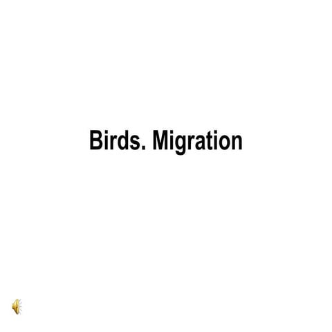 Bird migration | PPT