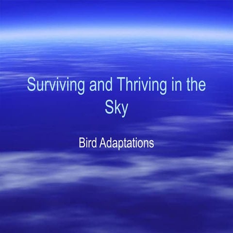Bird Adaptations | PPT | Birdwatching | Hobbies & Interests