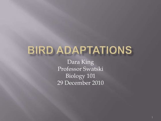 Animal adaptations | PPT