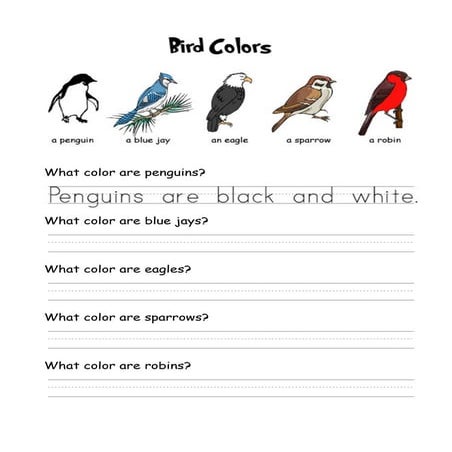 Bird colors | DOC