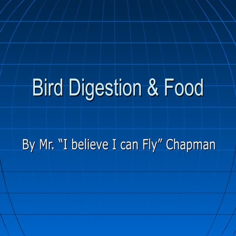 Bird digestion | PPT