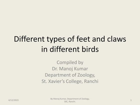 Siphunculata classification | DOCX