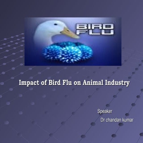 Bird flu | PPT