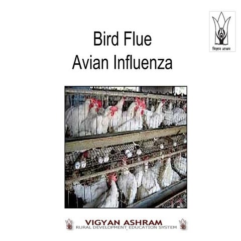Bird flu | PDF