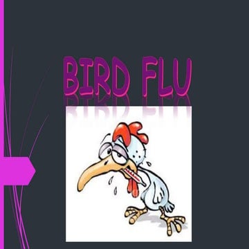 BIRD FLU.pptx