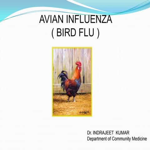 Bird flu for 3rd year | PPTX