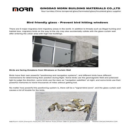 Bird friendly glass precent bird hitting windows | PDF