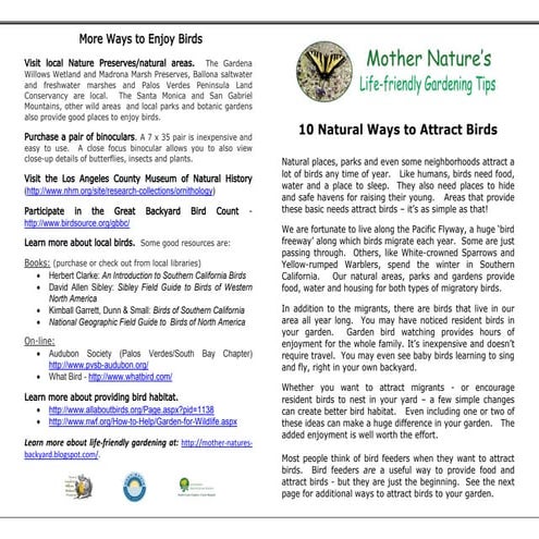 10 Natural Ways to Attract Birds - brochure | PDF