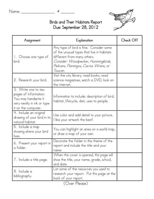 Rainforest animal report | PDF