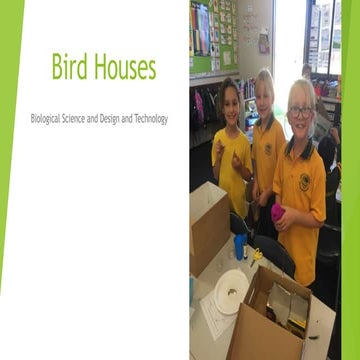 Bird houses | PPTX