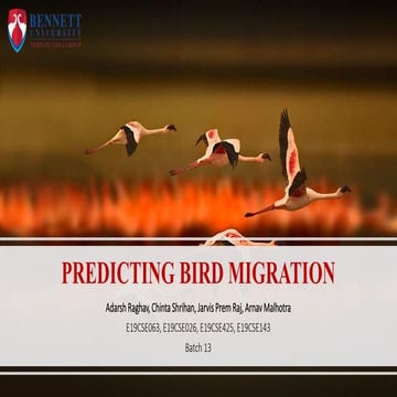 IRJET- Bird Species Identification using Image Mining & CNN Algorithm | PDF