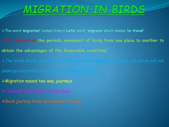 Migration in Birds | PPTX | Birdwatching | Hobbies & Interests