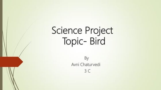 Environmental Science (EVS) : Birds (Class III) | PPT