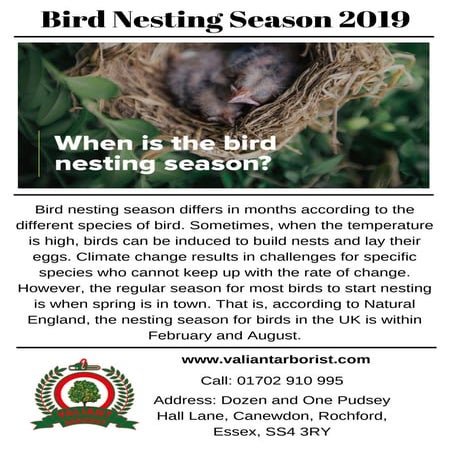 WHEN IS THE BIRD NEST SEASON? | PDF