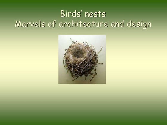 Bird nest type and nesting behaviour in birds | PPTX