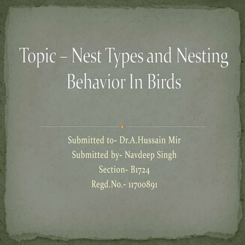 Bird nest type and nesting behaviour in birds | PPTX