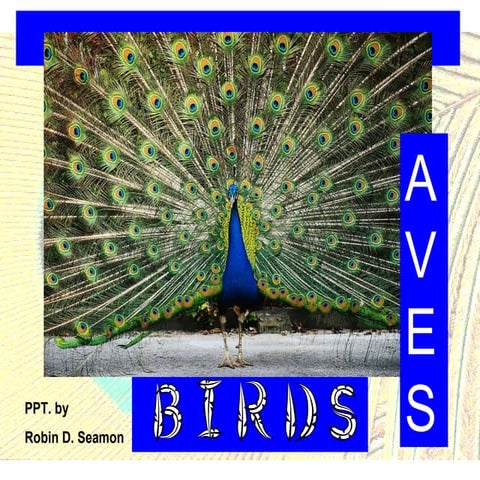Bird notes Notes on Class Aves, including flight, calls, migratory ...