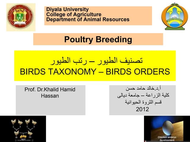 Classification of aves | PPTX