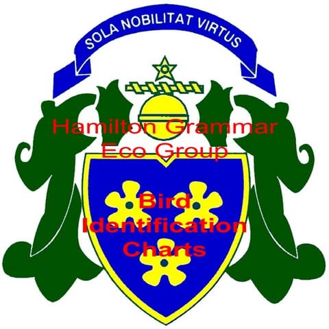 hamilton grammar 06-07 action plan