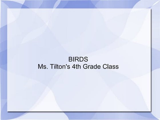 Birds ppt | PPTX