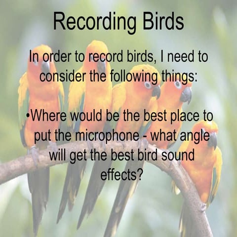 Bird recording | PPTX