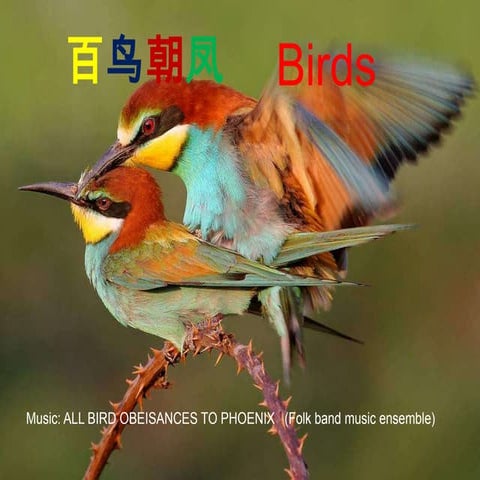 Birds, Chinese folk music | PPSX