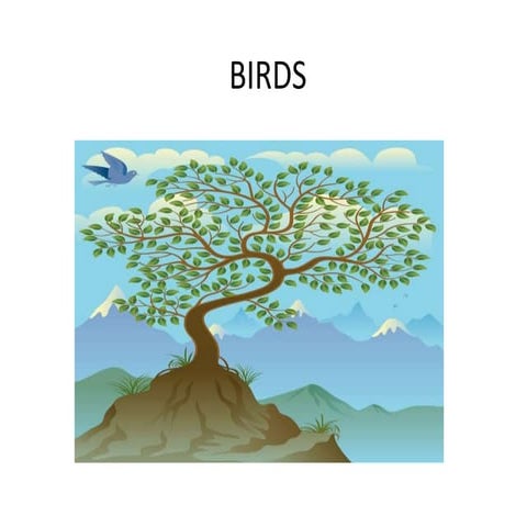 Birds | PPT