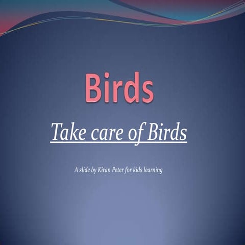 Birds | PPTX