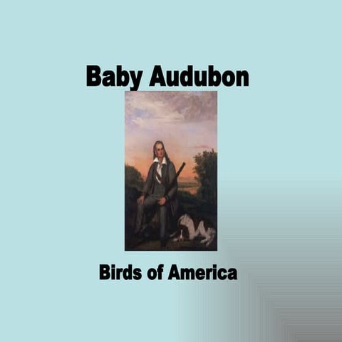 Birds audubon | PPT | Birdwatching | Hobbies & Interests