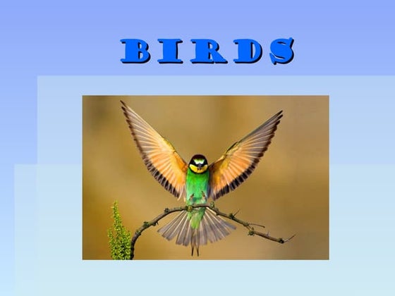 Birds ppt | PPT