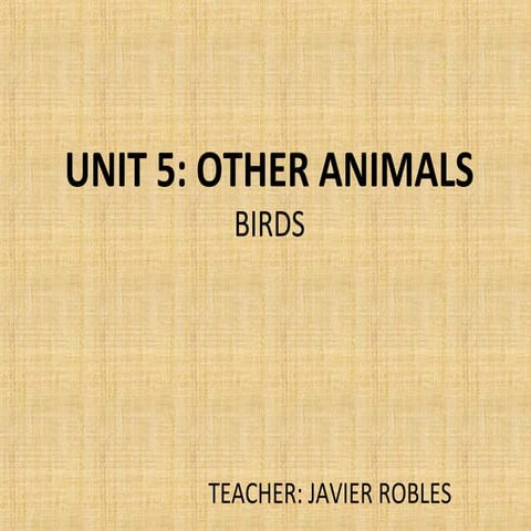 Birds (Science Grade 5) | PPT