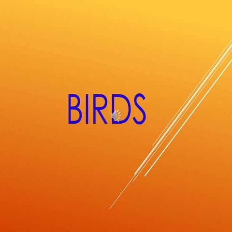BIRDS | PPSX