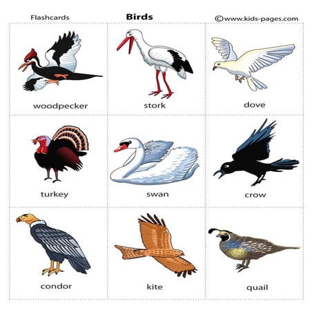 Arctic animals | PDF