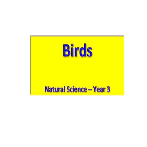 Birds | PPT | Birds | Pets