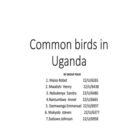 Birds-2.pptx