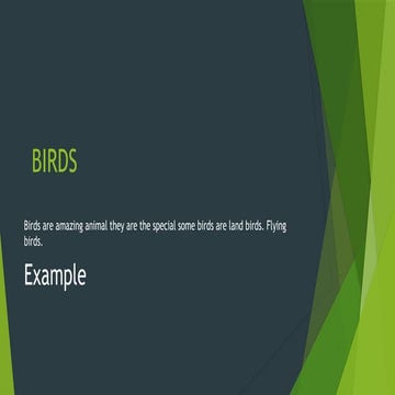 The birds eye View: Exploring the Importance of in the Ecosystem | PPTX
