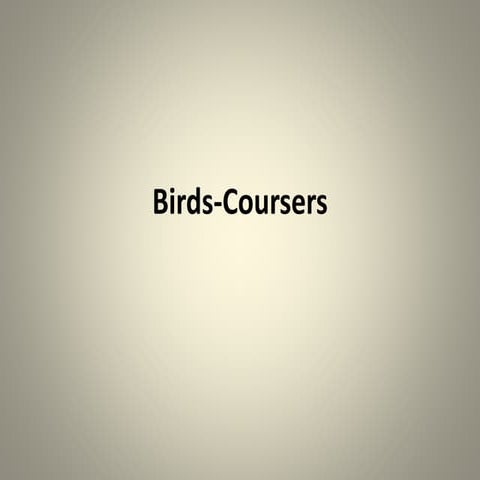 Birds coursers | PPTX