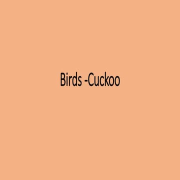 Birds cuckoo | PPTX | Birdwatching | Hobbies & Interests