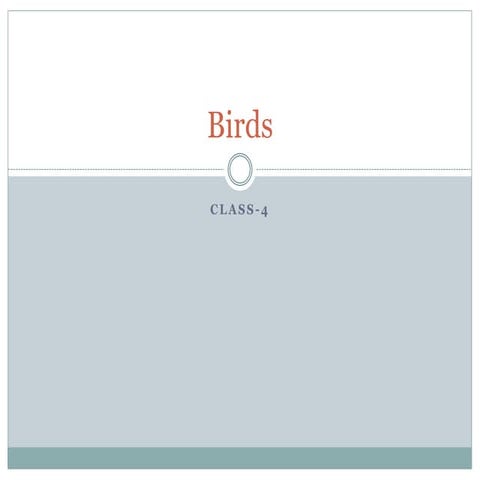 Birds - GET TO KNOW MORE ABOUT BIRDS.pptx