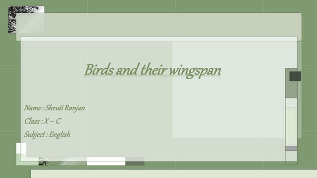 Birds and their wingspan | PDF
