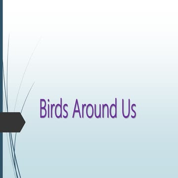 Birds Around Us | PPTX