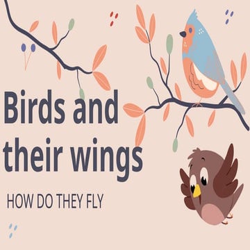Types of flight in birds | PPTX