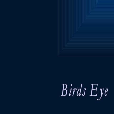 Birds Eye | PPT