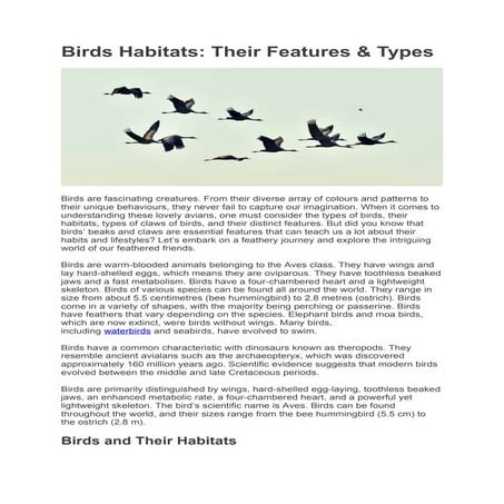 Birds Habitats : Their Features and Types | PDF