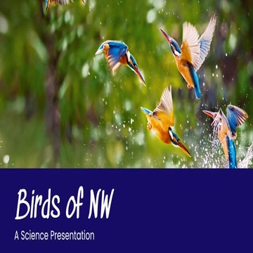 Birds of NW and why we like to have them around | PDF