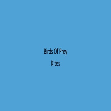 Birds of prey | PPTX