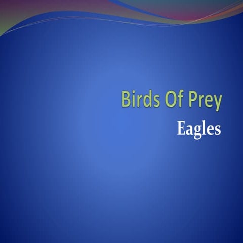 Birds of prey | PPTX