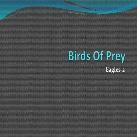Birds of prey eagles-2 | PPTX