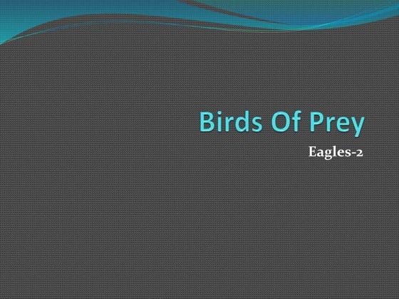 Birds sandpiper | PPT